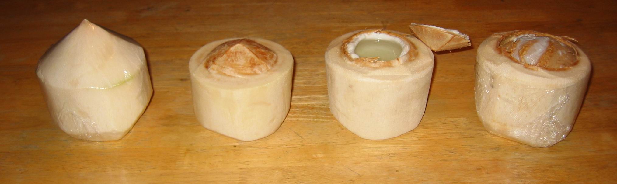 Cooking a dish inside a fresh coconut. : r/Cooking